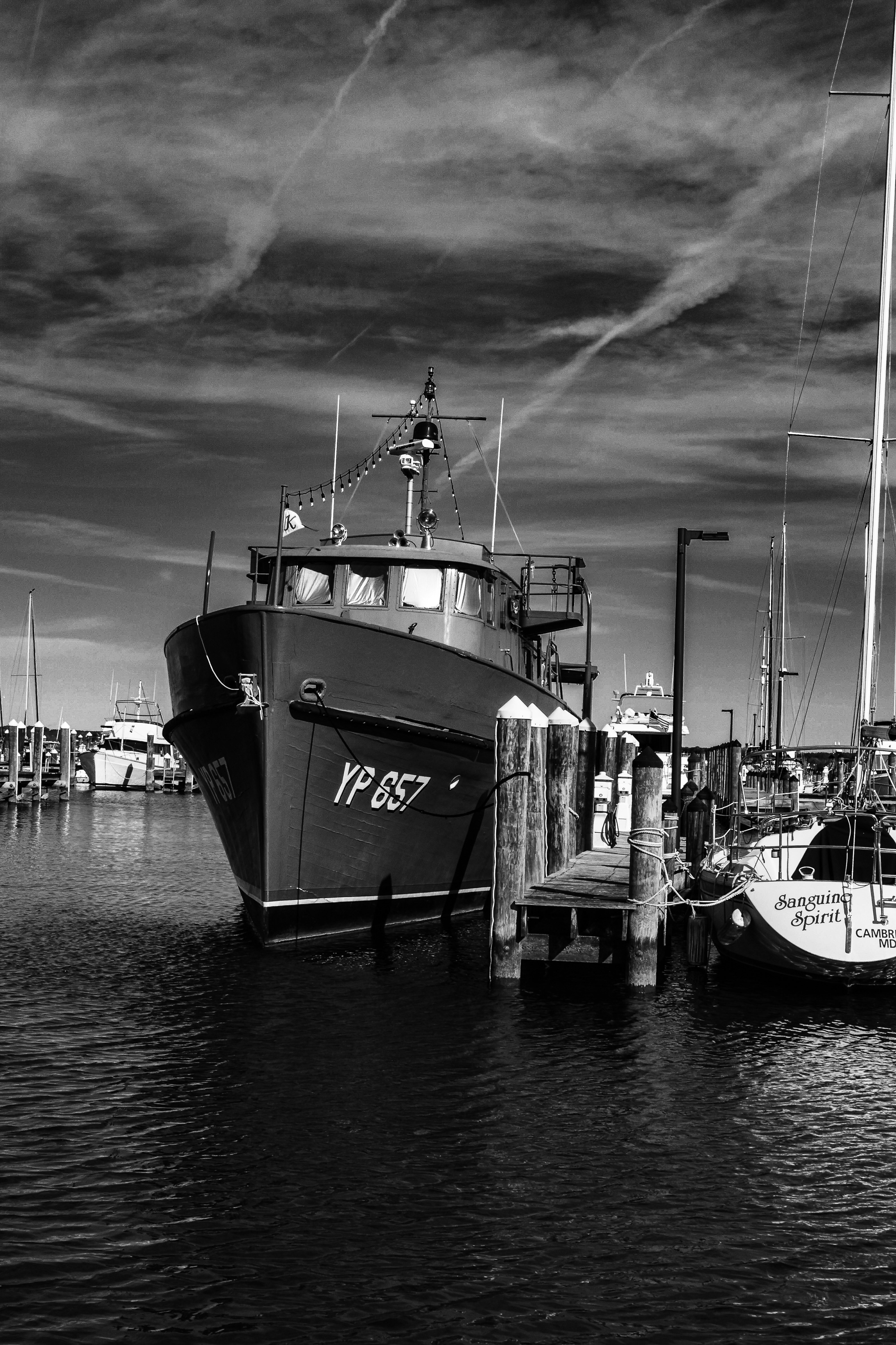 Monochrome Marina Digital Download – Andrew Joseph Photography